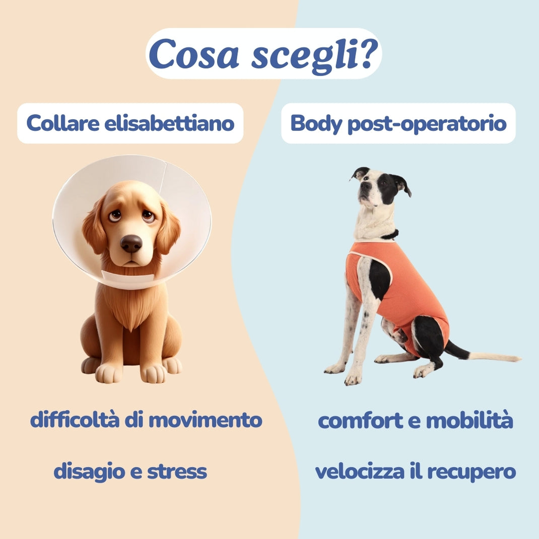 Body per cani - L'alternativa N°1 al collare elisabetta – animalside